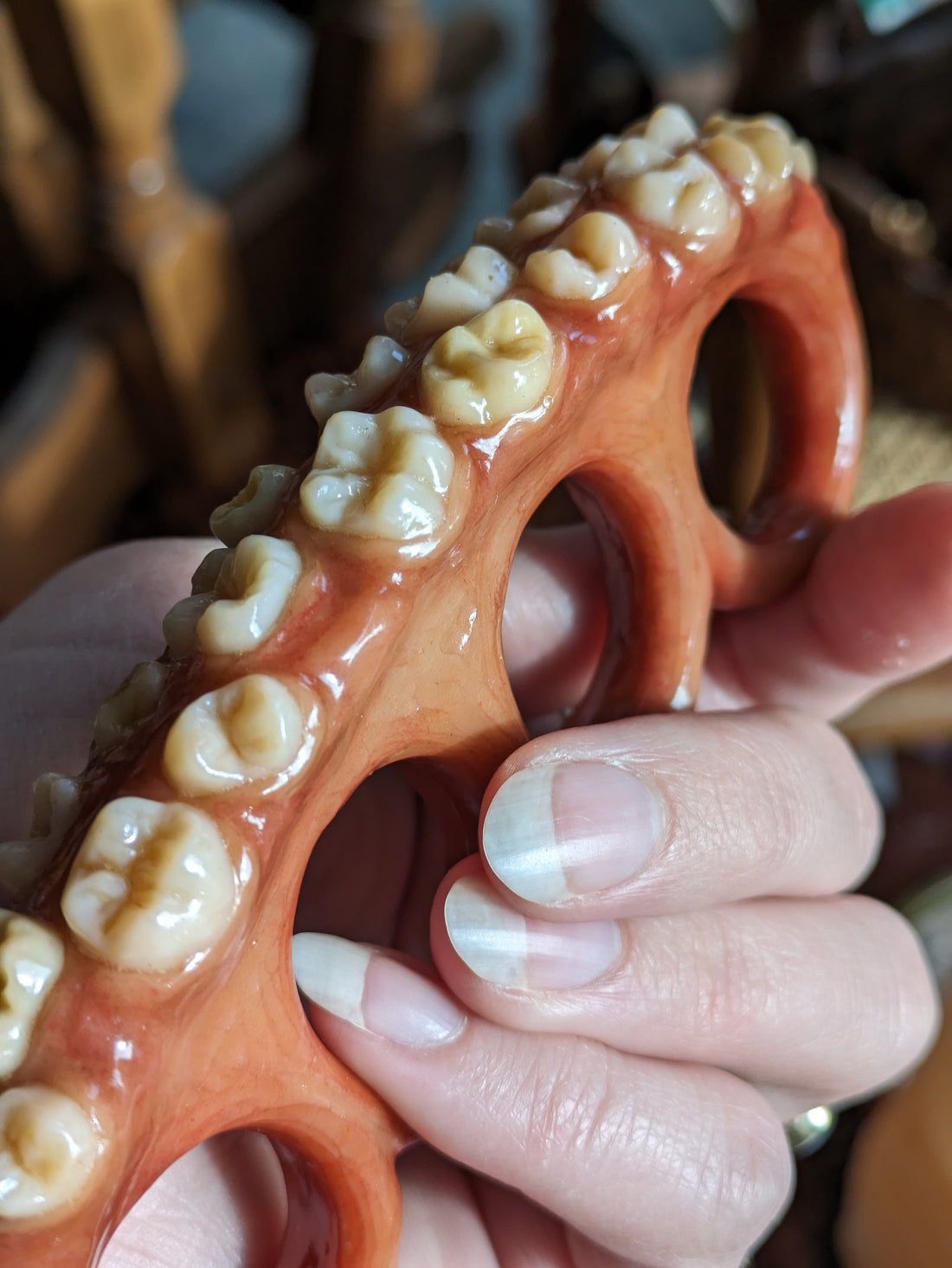 Teeth Knuckles – Mushbugs